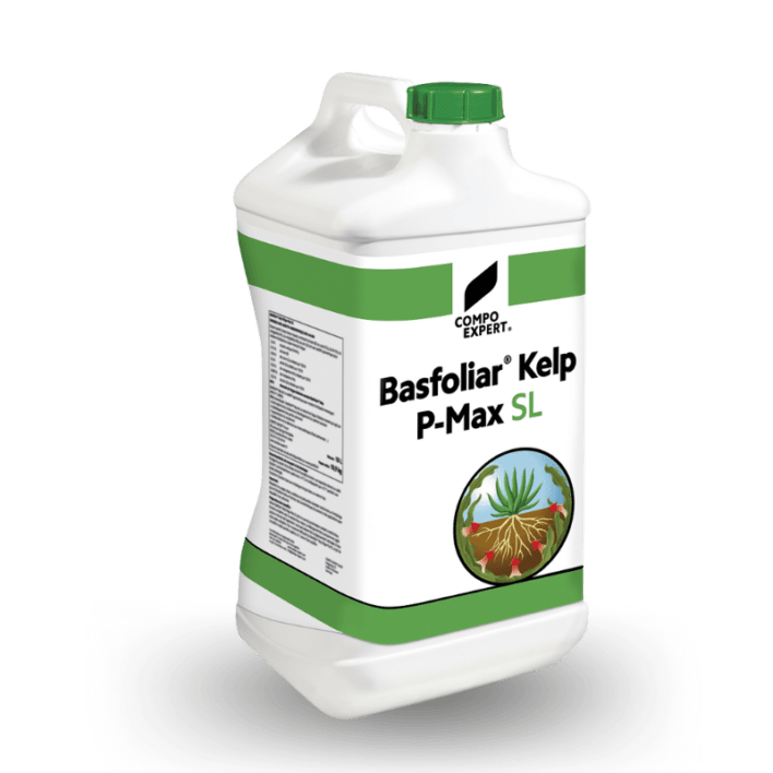 COMPO EXPERT Archives - Agrochem Puławy